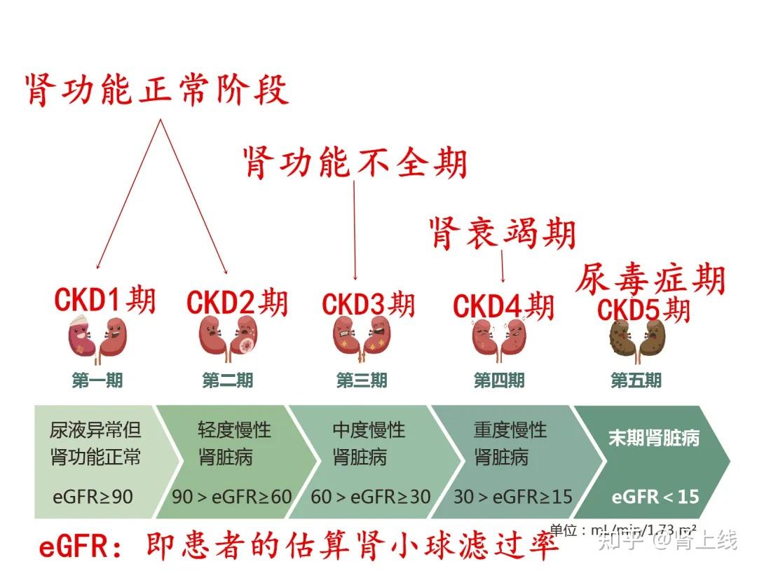 肾病分级和分期有啥关系？3级就是CKD3期吗？ - 知乎