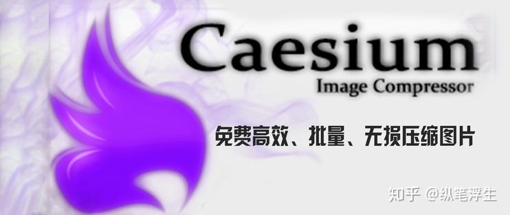 免费高效、批量无损的图片压缩软件丨Caesium Image Compressor - 知乎