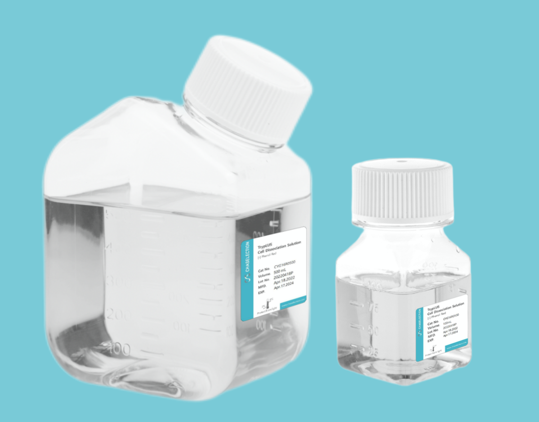 强强联手，逐典 TrypLUS 消化液、TrypLE 酶残留定量检测试剂盒组合拳震撼来袭!