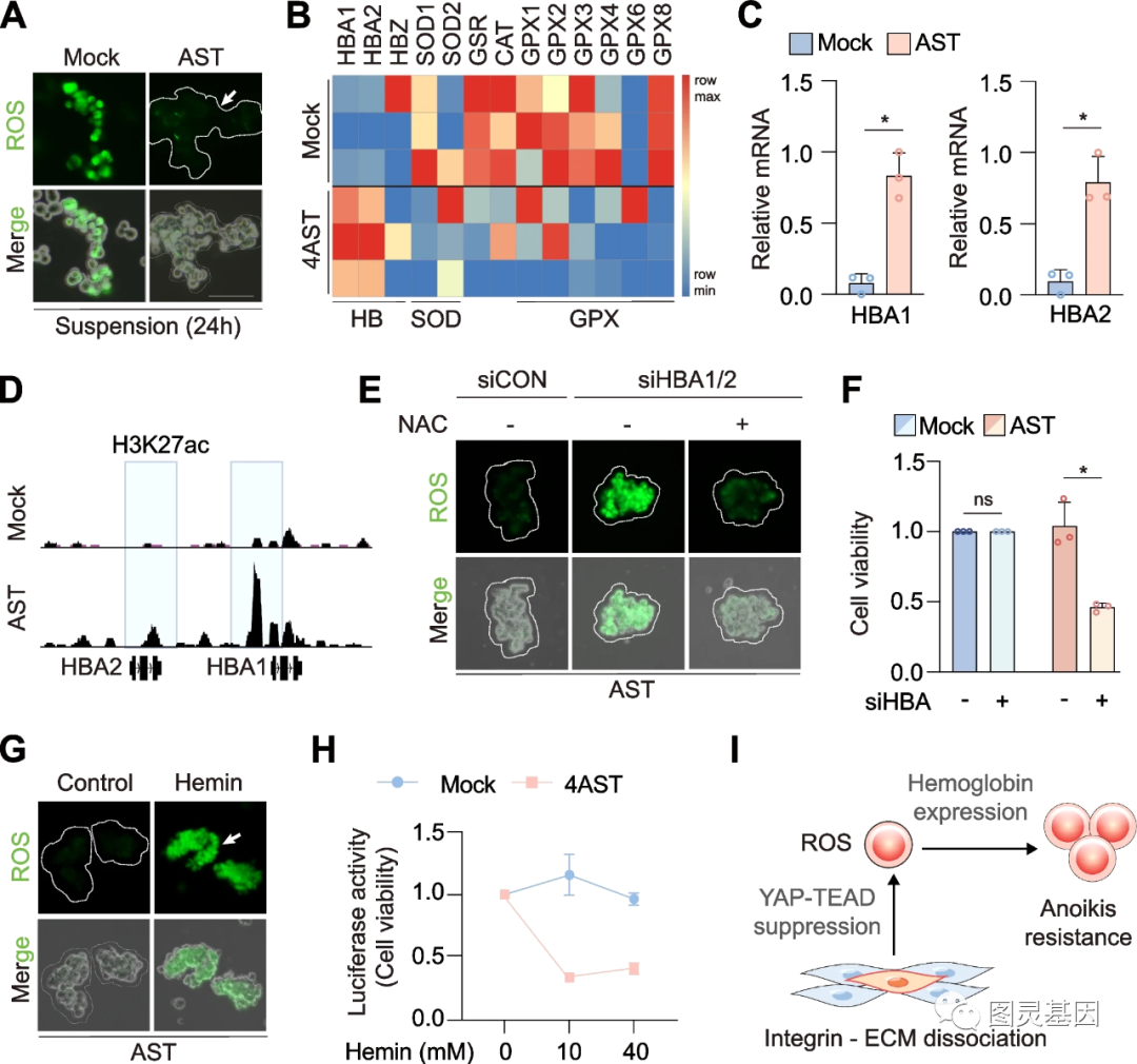 Mol Cancer | 贴壁悬浮转化促进癌症转移扩散：相关分子有望成为新靶点 - 知乎