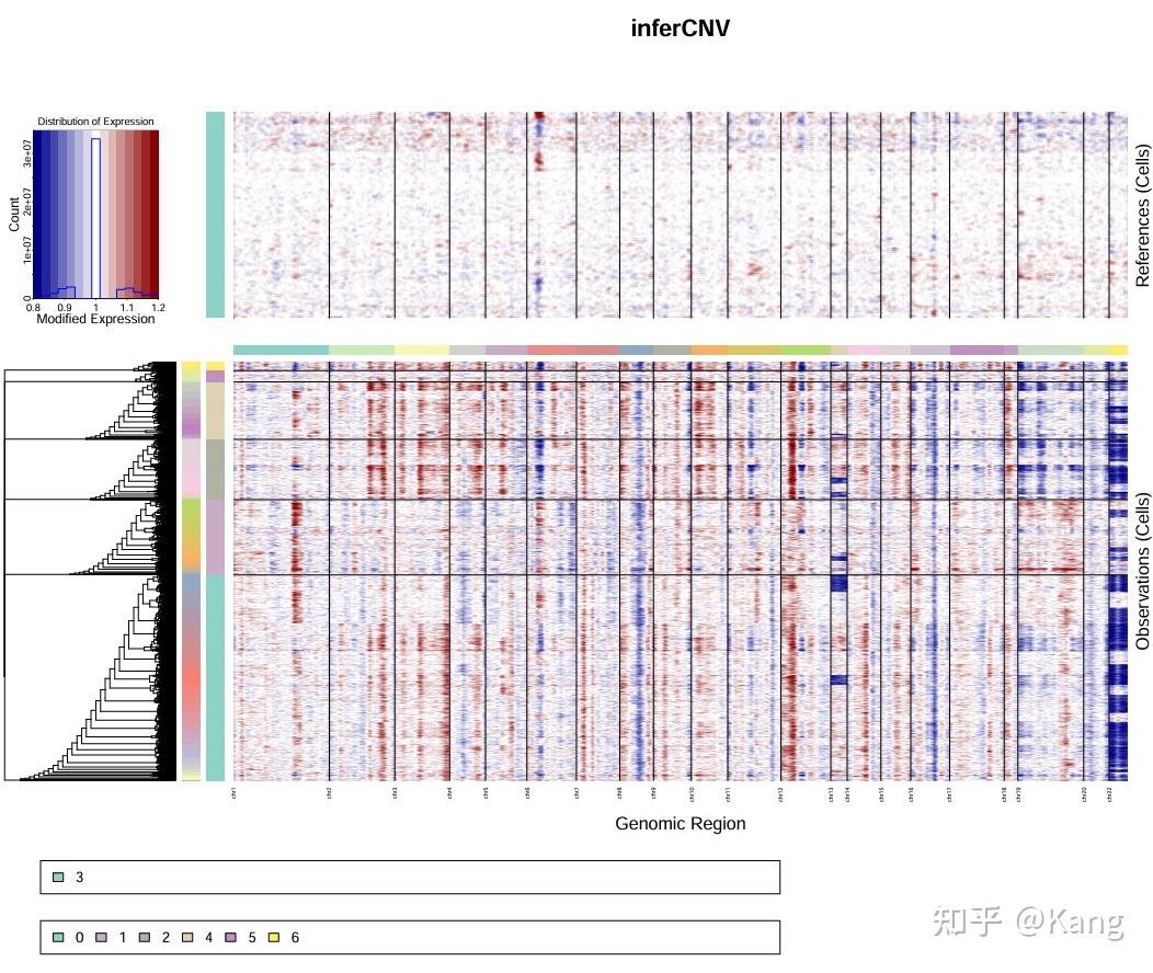 单细胞转录组分析流程八（inferCNV，inferCNV score） - 知乎