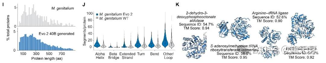 Evo2：跨生命领域的基因组“造物主”模型 - 知乎