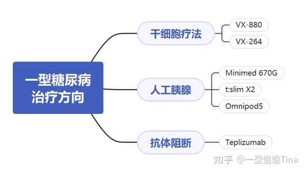 一文带你理清『糖尿病干细胞疗法』VX880和VX264 - 知乎