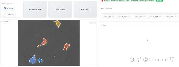 利用Track-Anything进行细胞追踪 - 知乎
