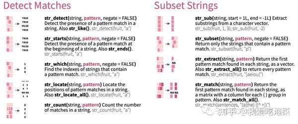R语言stringr包学习（1） - 知乎