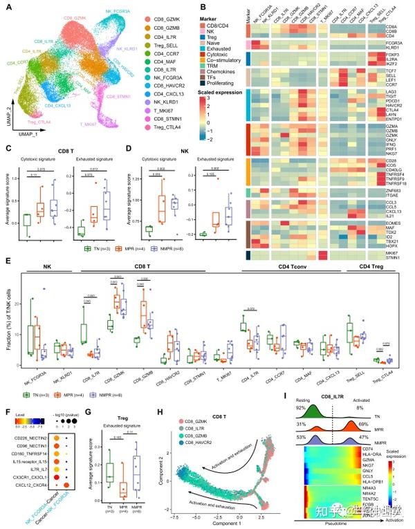 10+单细胞生信文章，探索肿瘤微环境在免疫治疗前后及不同疗效之间的差异，可扩展推广到自己的研究中！ - 知乎