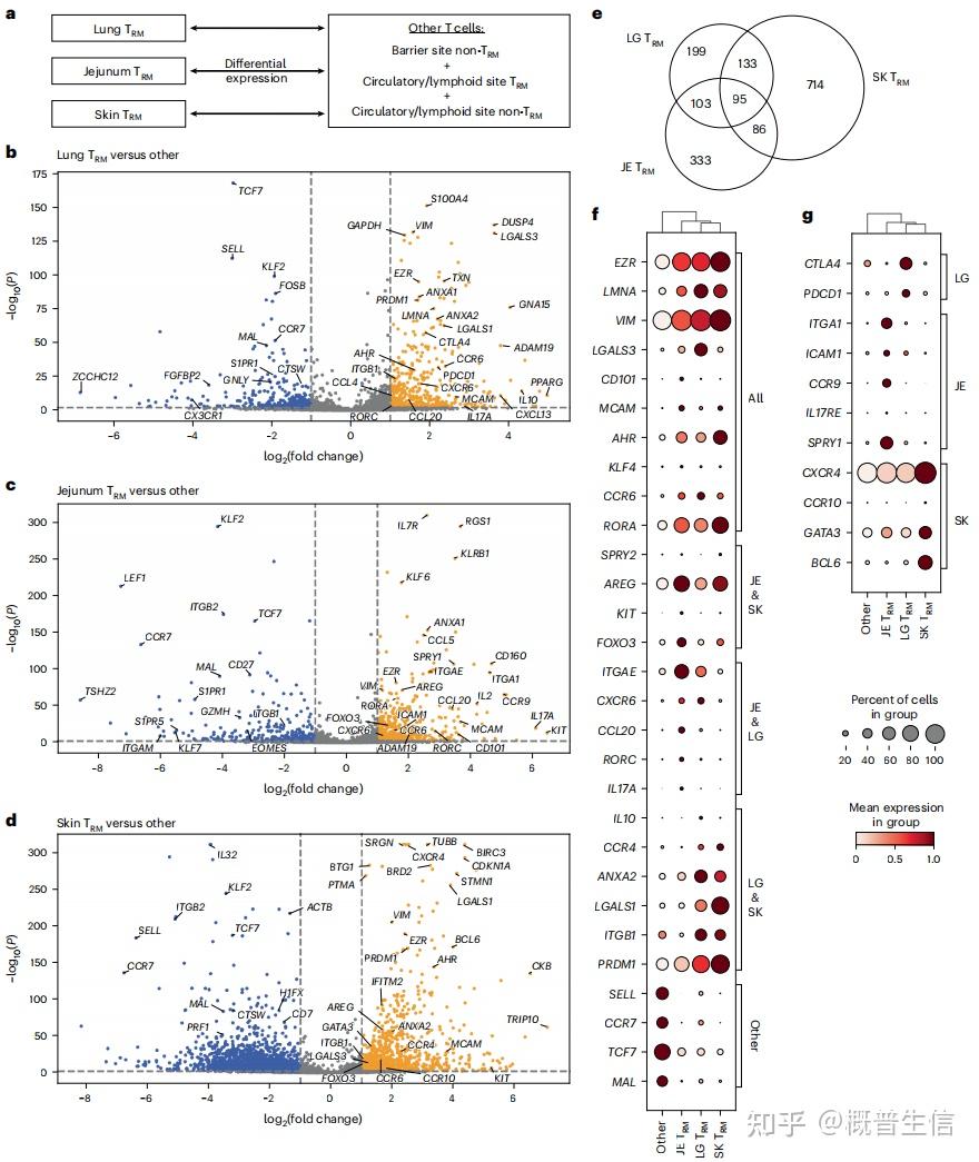 Nature Immunology | 揭示人记忆T细胞的组织特异性和克隆景观 - 知乎