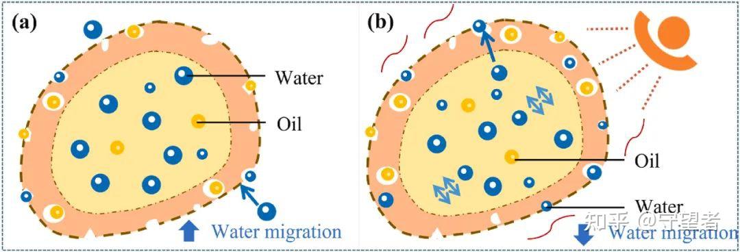 Trends in Food Science & Technology：可微波冷冻预油炸食品酥脆保留最新进展 - 知乎