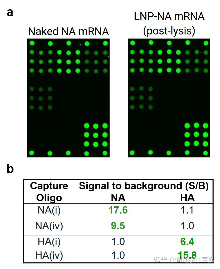 多价mRNA疫苗中各组分mRNA的快速鉴定和准确定量 - 知乎