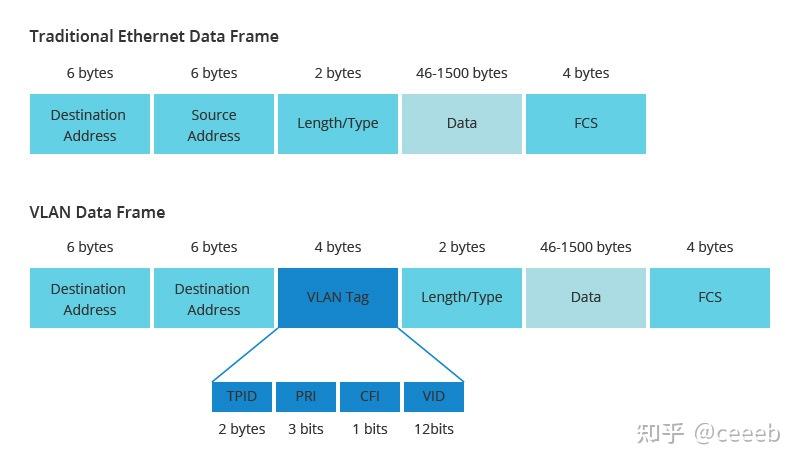 IEEE 802.1Q 虚拟局域网 (Virtual LAN) - 知乎
