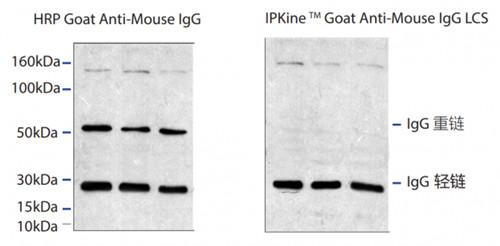 IP WB实验中，如何避免轻重链？ - 知乎