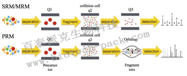 平行反应监测PRM服务 - 知乎