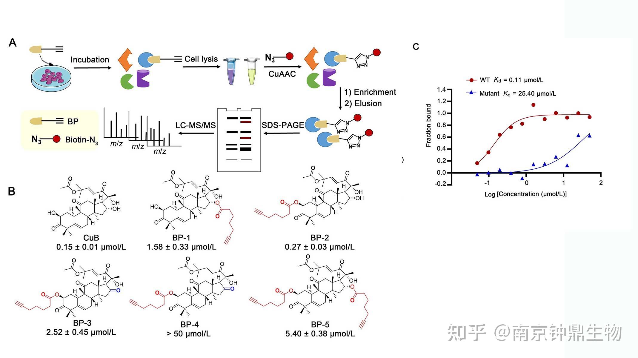小分子pull down - 知乎
