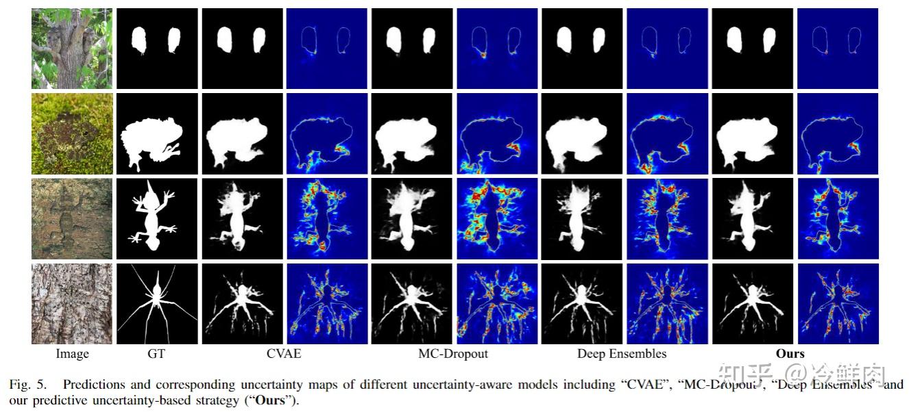 【阅读笔记】Predictive Uncertainty Estimation for Camouflaged Object Detection - 知乎