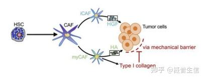 SCI热点 | CAF最强汇总来啦 - 知乎