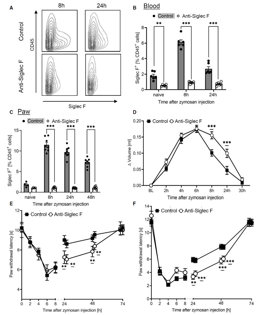 EMBO Mol Med丨14分丨嗜酸性粒细胞衍生的 IL-4 是建立先天性炎症炎症结构所必需的 - 知乎