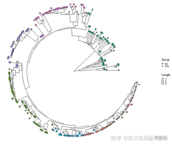 R语言|ggtreeExtra包绘制进化树 - 知乎
