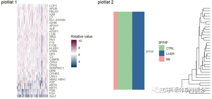 不好好做图的NSC系列(十):一个可以替代ggplot做热图的R包---ggheatmap - 知乎