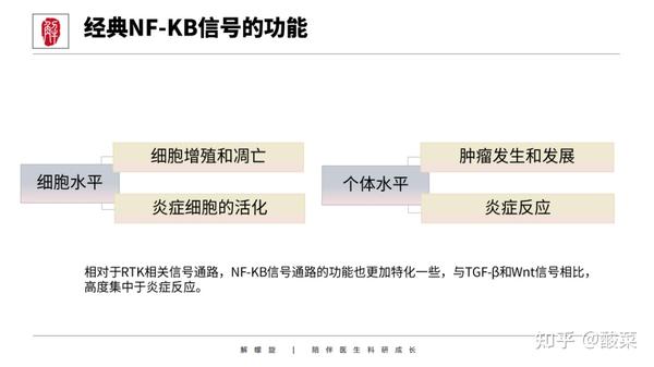 MAPK、PI3K/A、Wnt、NF-κB…1天1个信号通路，打开研究思路 - 知乎