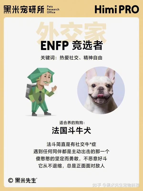 MBTI 16种人格都适合养什么狗狗？（二） - 知乎