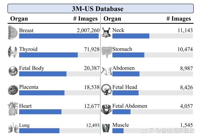 USFM：适用于各种任务和器官的通用超声基础模型，实现标签高效图像分析 - 知乎