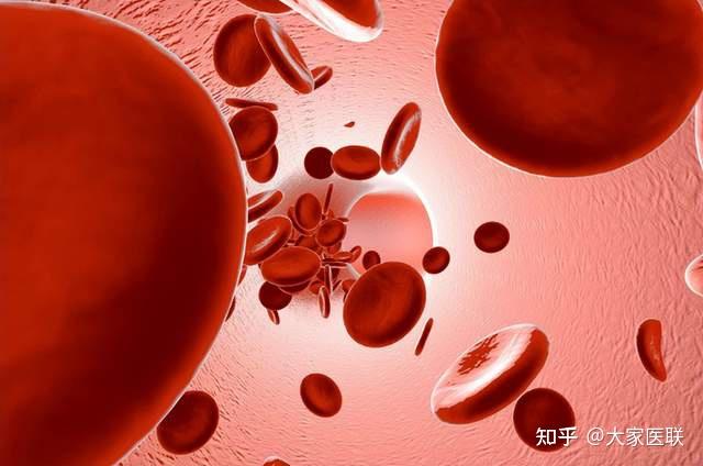 高血脂人群牢记:晨起2不要,睡前2不宜,日常3坚持,助血脂稳定 知乎