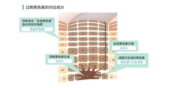 资研所Shi-Lab | 秋冬美白“4MSK成分”来支招 - 知乎