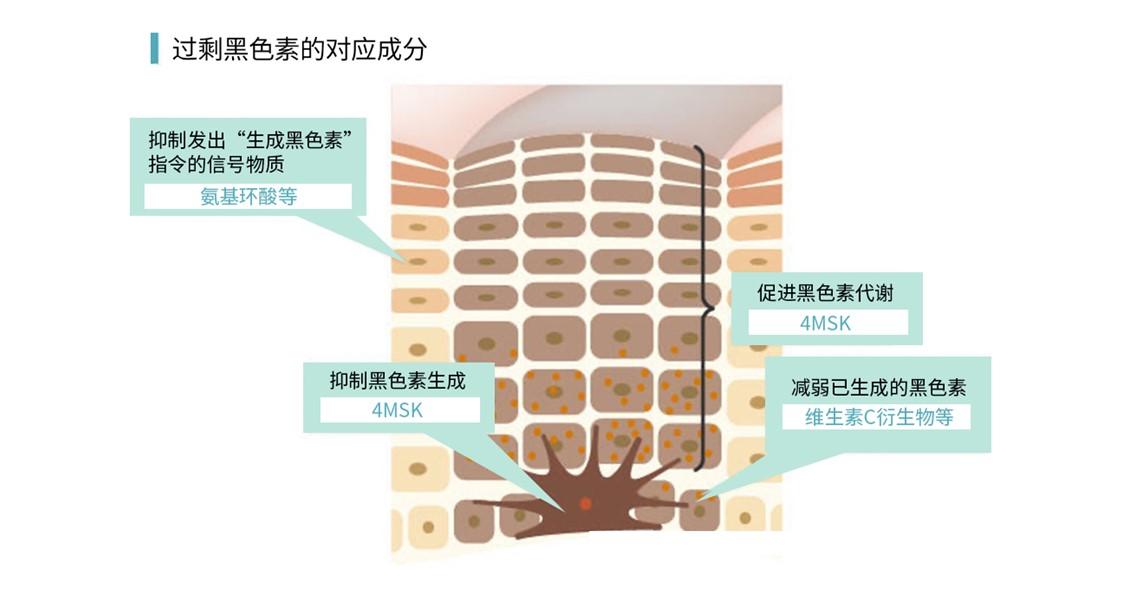 资研所Shi-Lab | 秋冬美白“4MSK成分”来支招