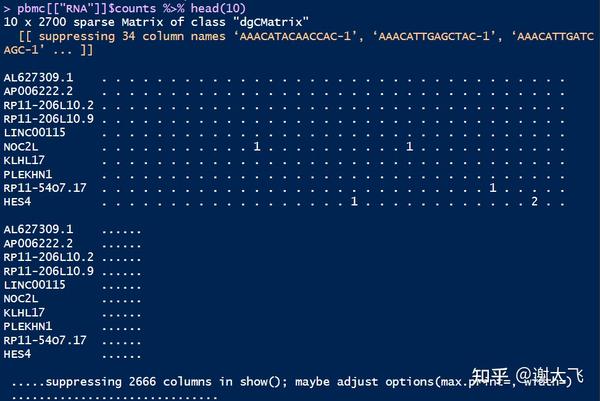 V5和V4版Seurat对象内部结构对比详细版 - 知乎
