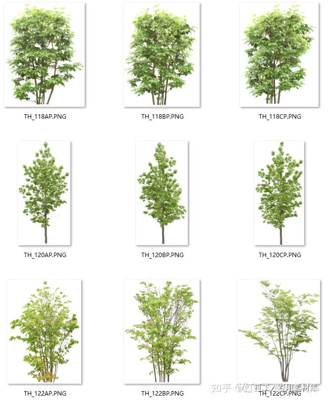 270款超棒的网红小清新手绘风and写实风立面树素材（1.2G） - 知乎