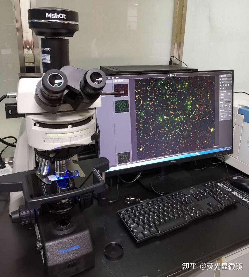 显微镜能怎样看细菌？ - 知乎