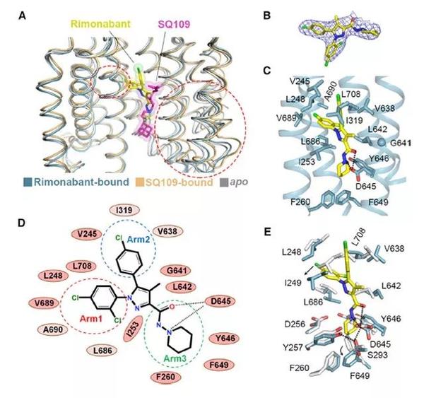 MMPL3 蛋白的晶体结构,MMPL3 抑制剂有望治疗结核病 | MedChemExpress - 知乎