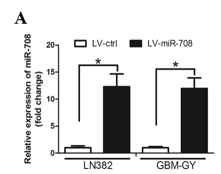 AAV/Lentivirus介导miRNA过表达及干扰 - 知乎