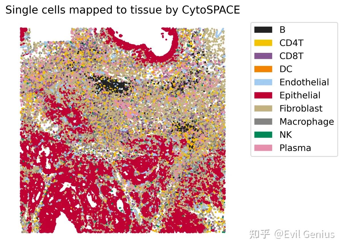 单细胞、空间、外显子解析TP53突变重构肺腺癌细胞图谱 - 知乎