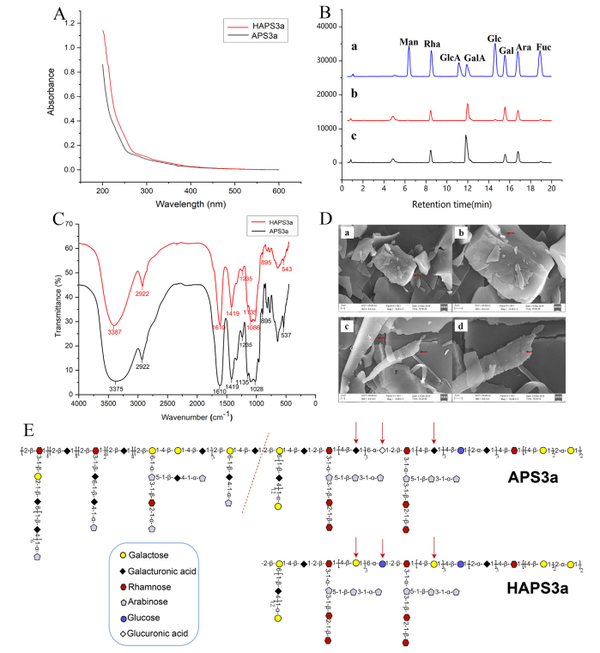 文献解读|IJBM.蜂蜜加工前后黄芪多糖的结构差异及其对小鼠结肠炎的影响 - 知乎
