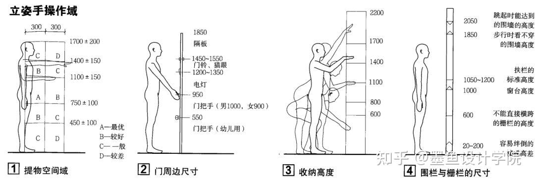 设计理论 | 01期：建筑设计人体尺度基础知识 - 知乎