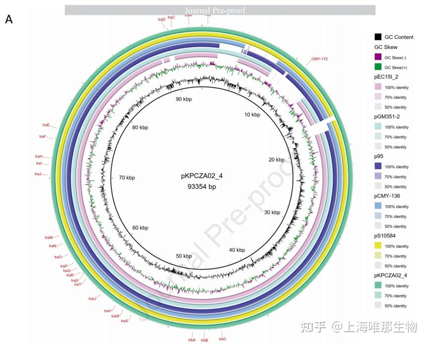 文献解读 | 新型CMY AmpC β-内酰胺酶导致产KPC肺炎克雷伯菌的头孢他啶-阿维巴坦耐药 - 知乎