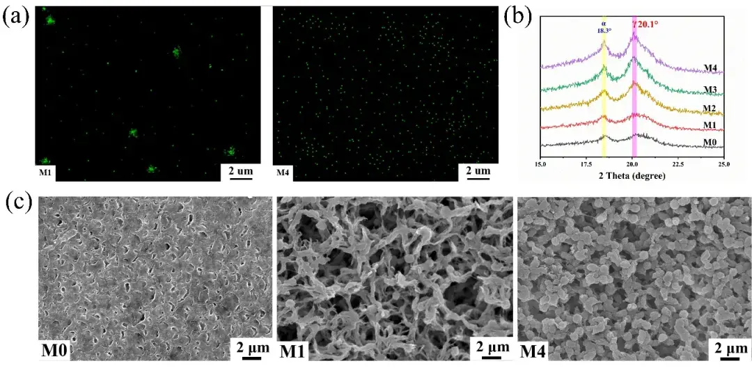 天津工业大学武春瑞团队| 氟烷基化FeOOH/PVDF共混膜微结构调控及其膜蒸馏性能研究 - 知乎