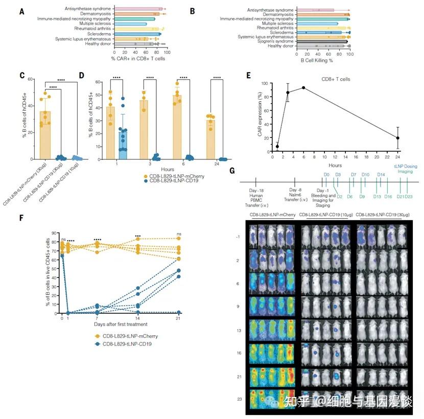 In vivo CAR-T很火//通过靶向脂质纳米颗粒（tLNP)，在体内生成CAR-T细胞用于癌症和自身免疫性疾病的治疗 - 知乎