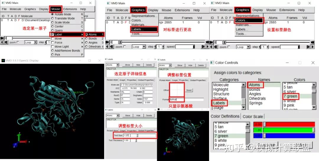 分子模拟||VMD处理蛋白质3D图 - 知乎