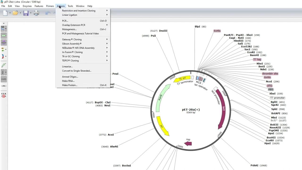 SnapGene 初学者指南 | SnapGene 软件概览 - 知乎