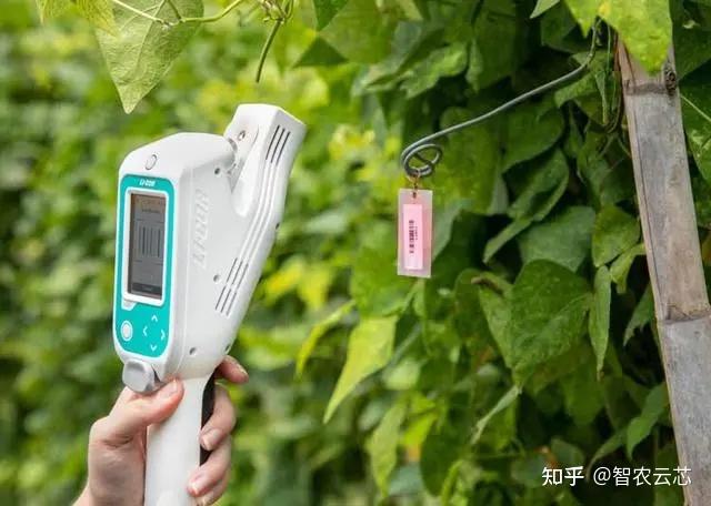 [实验] 植物生理指标测定方法 - 知乎