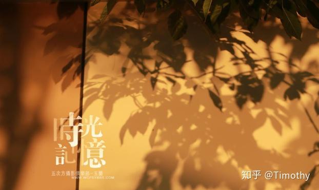 表达记忆用memorize、remember还是recall？ - 知乎