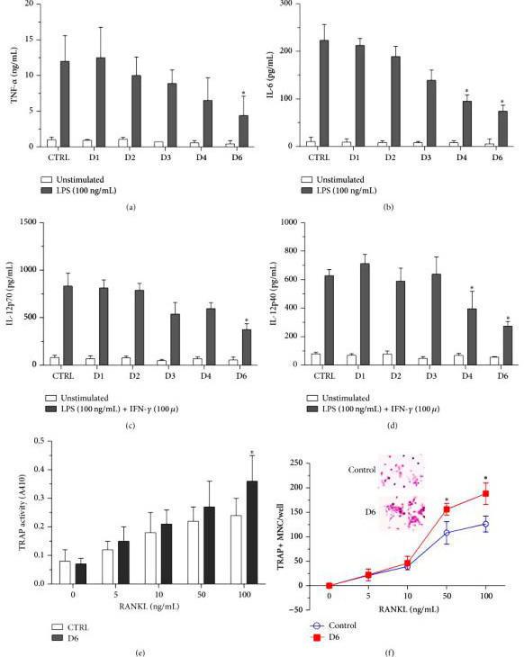 基因编辑RAW264.7细胞系—助力炎症以及破骨细胞生成相关研究-源井生物