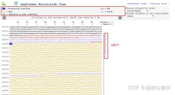 拟南芥种子订购详细攻略-TAIR-ABRC篇 - 知乎