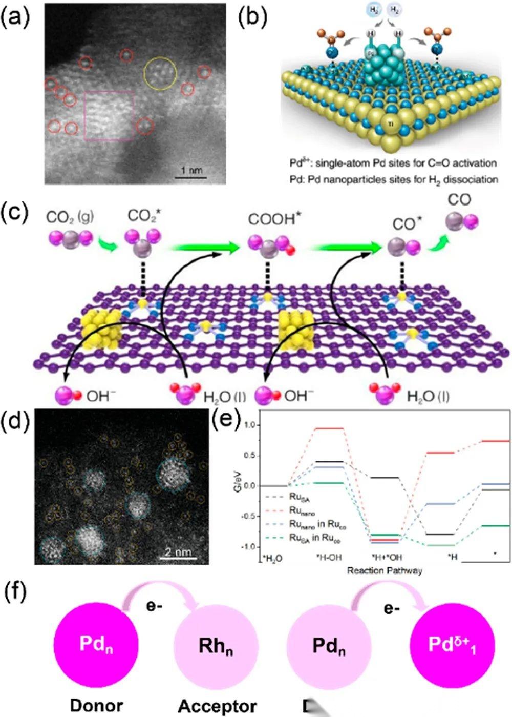 李亚栋院士JACS：金属单原子催化剂研究进展与展望 - 知乎
