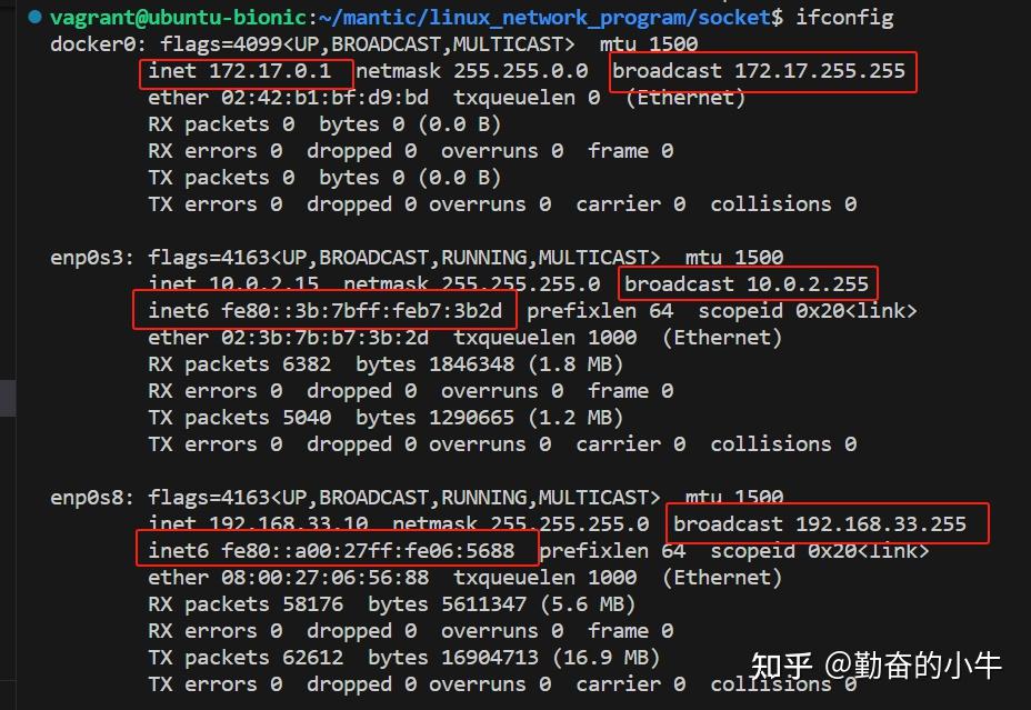 Linux网络库 | ifaddrs结构体解析 - 知乎