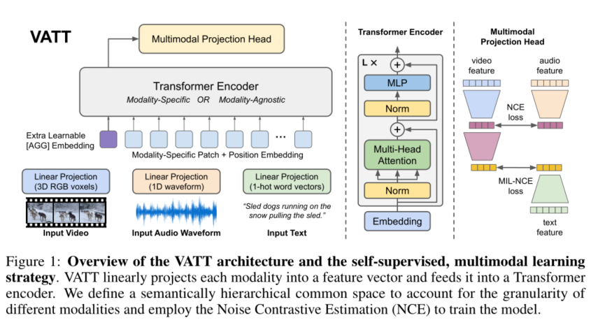 【论文笔记】VATT: Transformers for Multimodal Self-Supervised Learning from ...