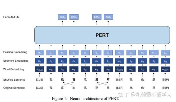 PERT-不再使用MLM任务的预训练语言模型 - 知乎