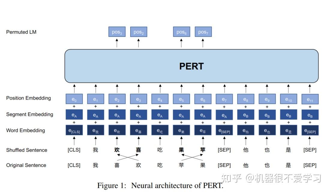PERT-不再使用MLM任务的预训练语言模型 - 知乎
